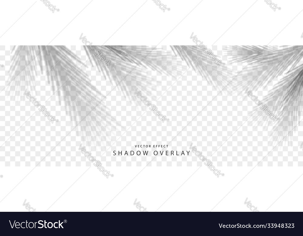 Shadow overlay effect Royalty Free Vector Image