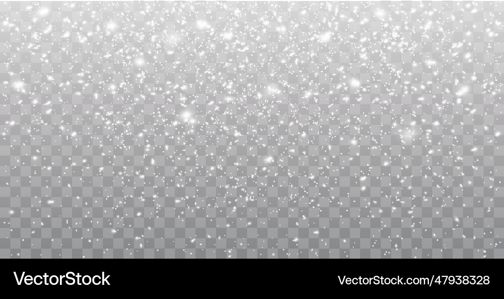 Seamless realistic falling snow or snowflakes Vector Image