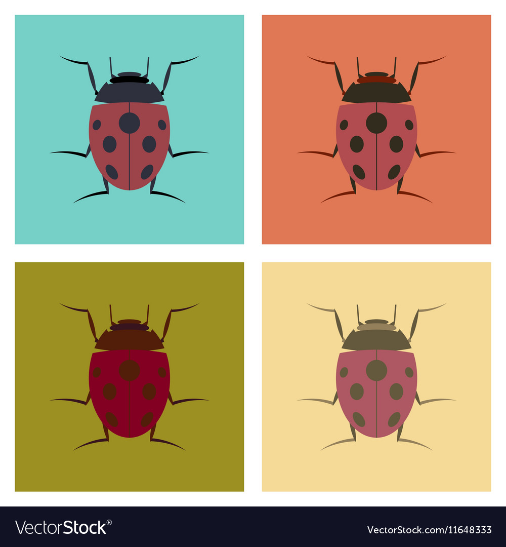 Assembly flat insect ladybug Royalty Free Vector Image