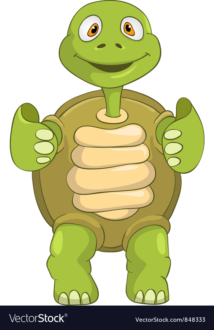 Funny turtle funky Royalty Free Vector Image - VectorStock