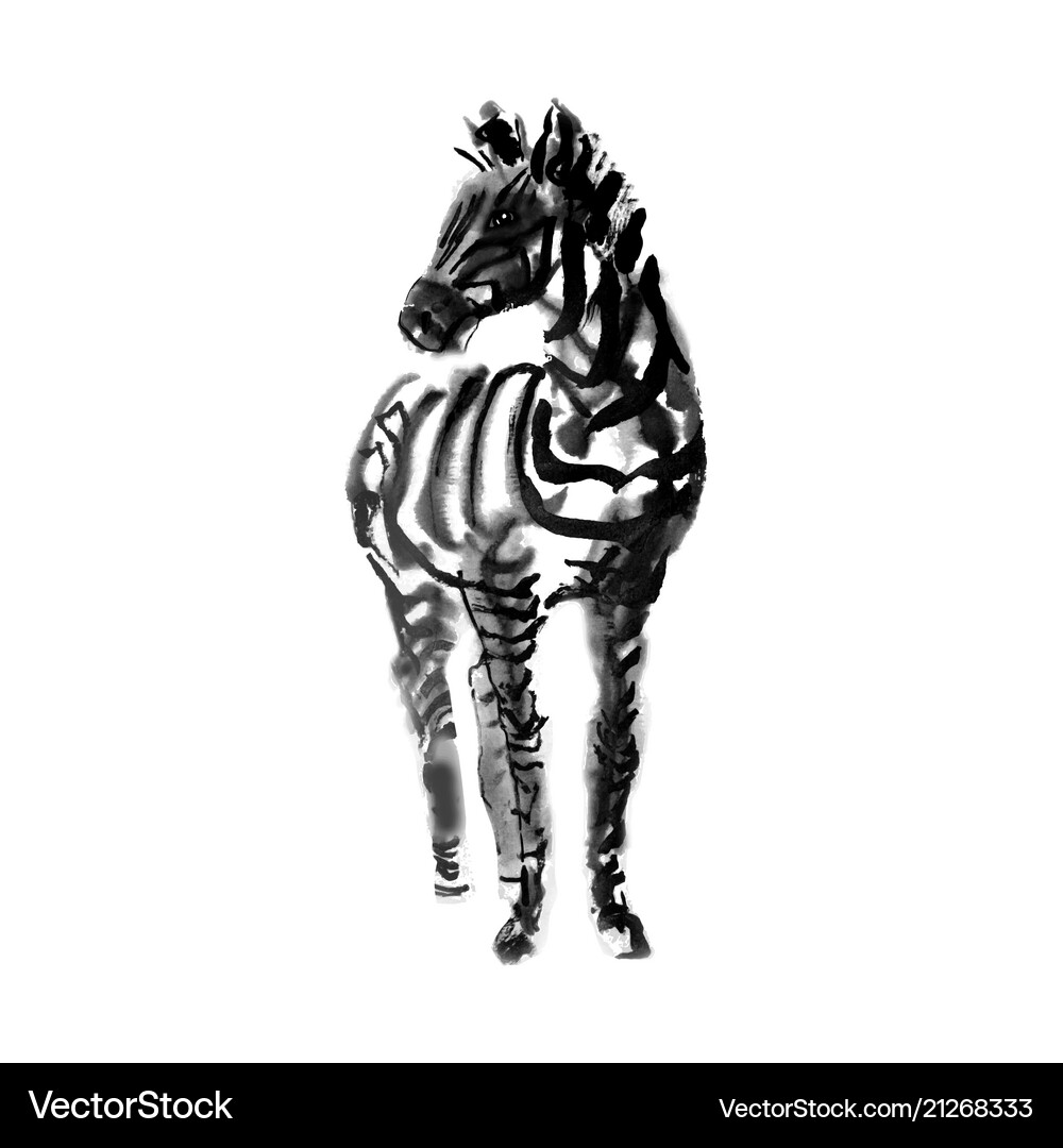 Ink zebra sketch isolated on white background Vector Image