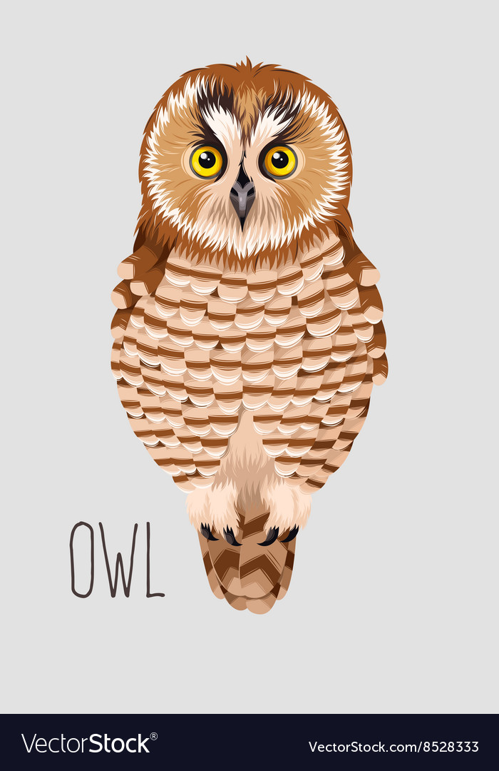Owl Royalty Free Vector Image - VectorStock