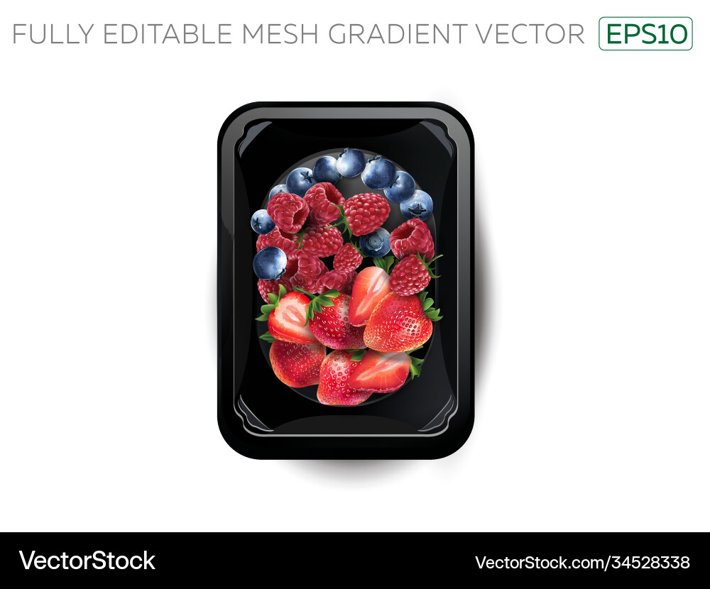 Blueberries raspberries and strawberries Vector Image