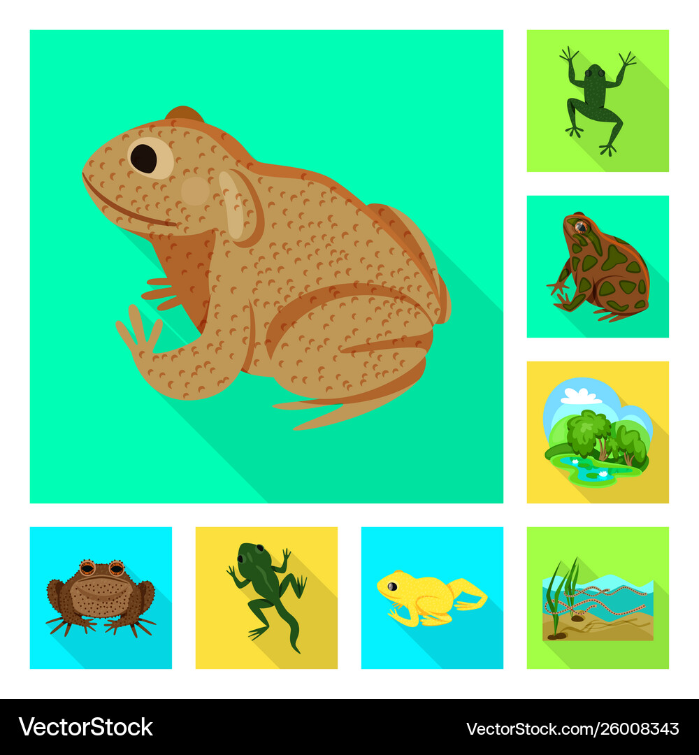 Design wildlife and bog icon set Royalty Free Vector Image