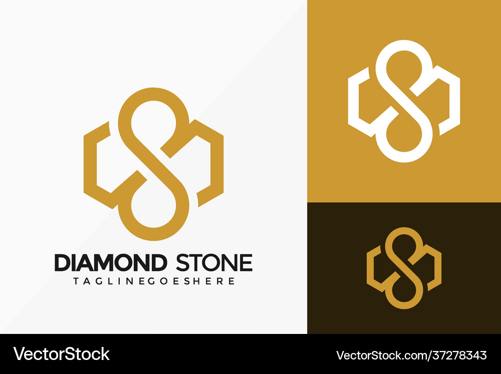 Letter s diamond stone logo design abstract Vector Image