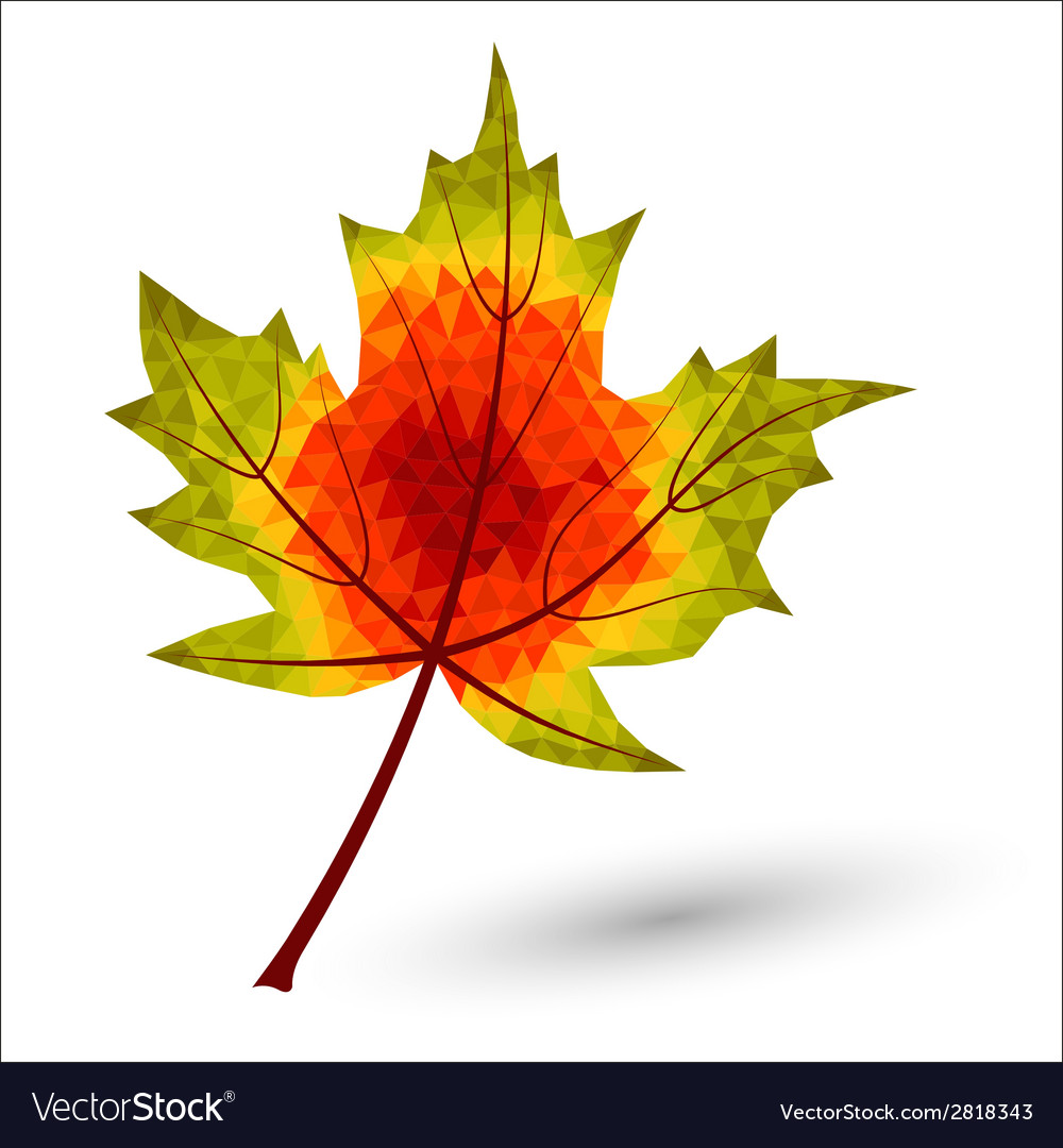 Triangular maple leaf Royalty Free Vector Image