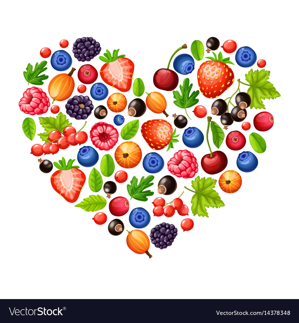 Cartoon fresh healthy forest berries concept Vector Image