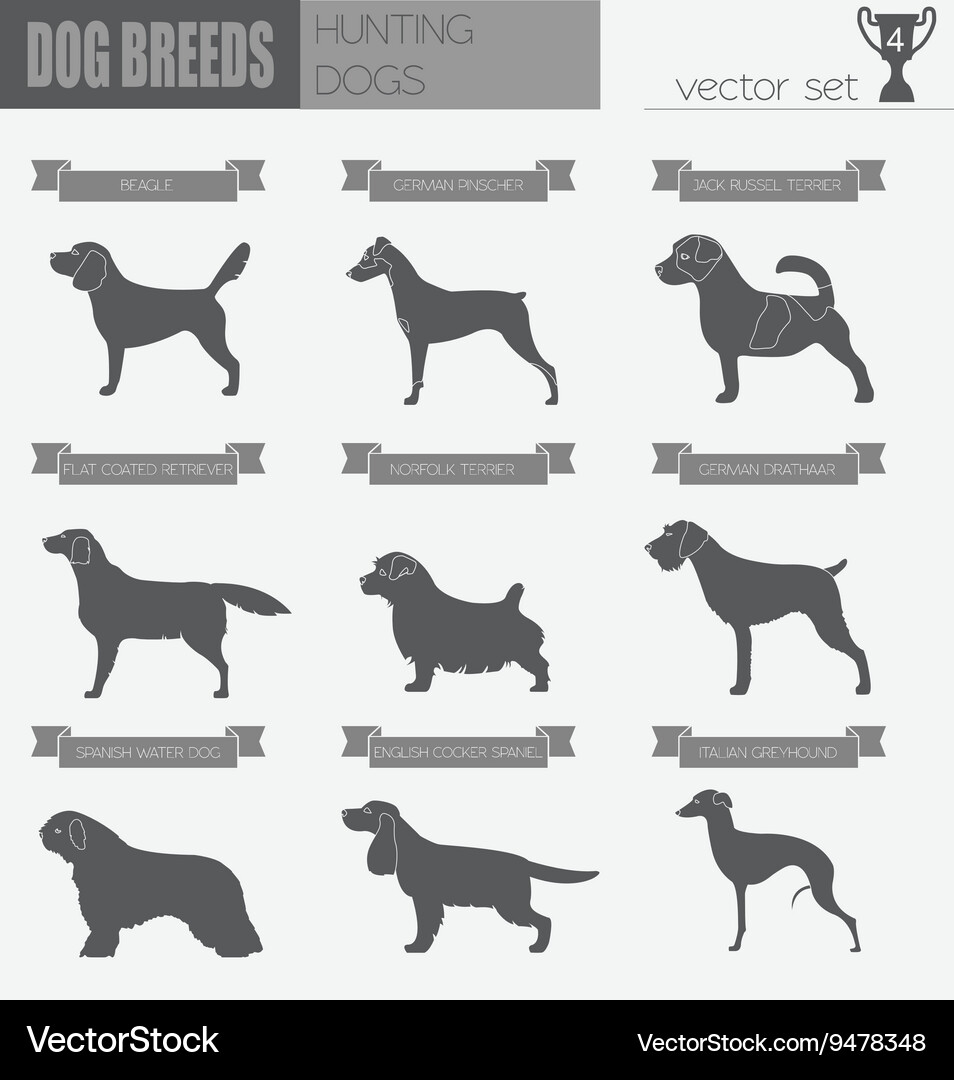 Dog breeds hunting set icon flat style Royalty Free Vector