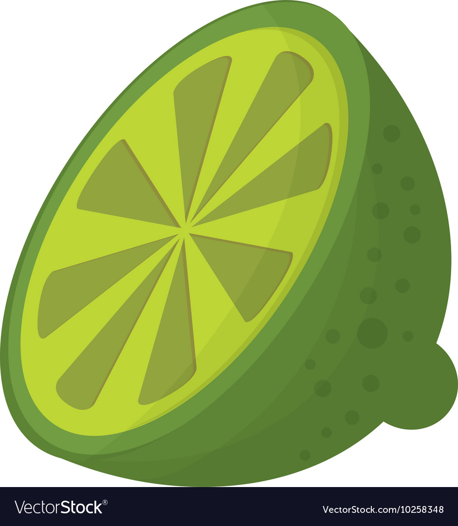Half lime icon Royalty Free Vector Image - VectorStock