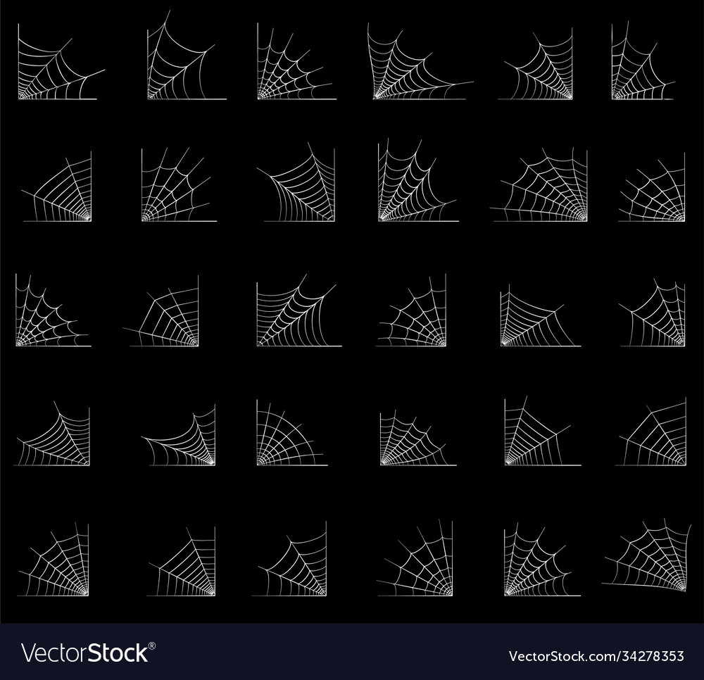 Spider web concept Royalty Free Vector Image - VectorStock