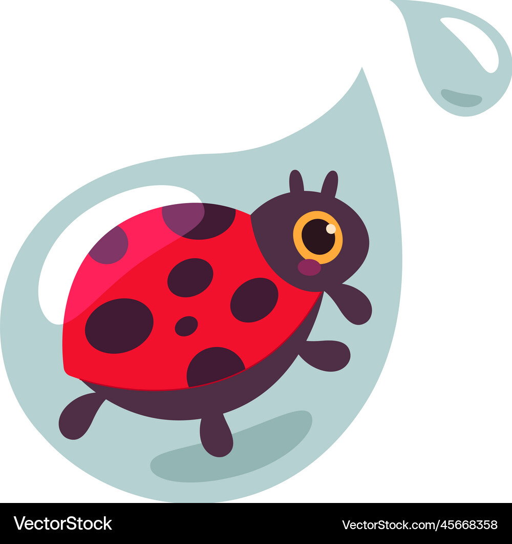 Cute cartoon ladybug beetle on water drop flat Vector Image