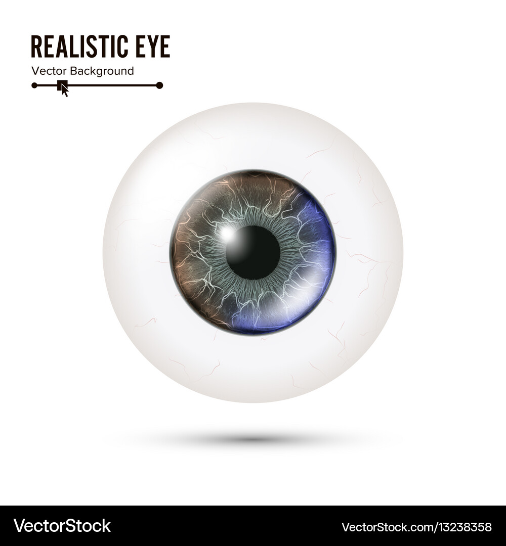 Eye realistic of 3d human Royalty Free Vector Image