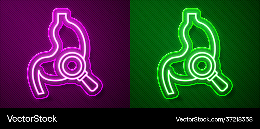 Glowing neon line human stomach with magnifying Vector Image