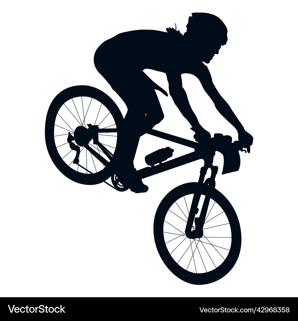 Man biking silhouette Royalty Free Vector Image