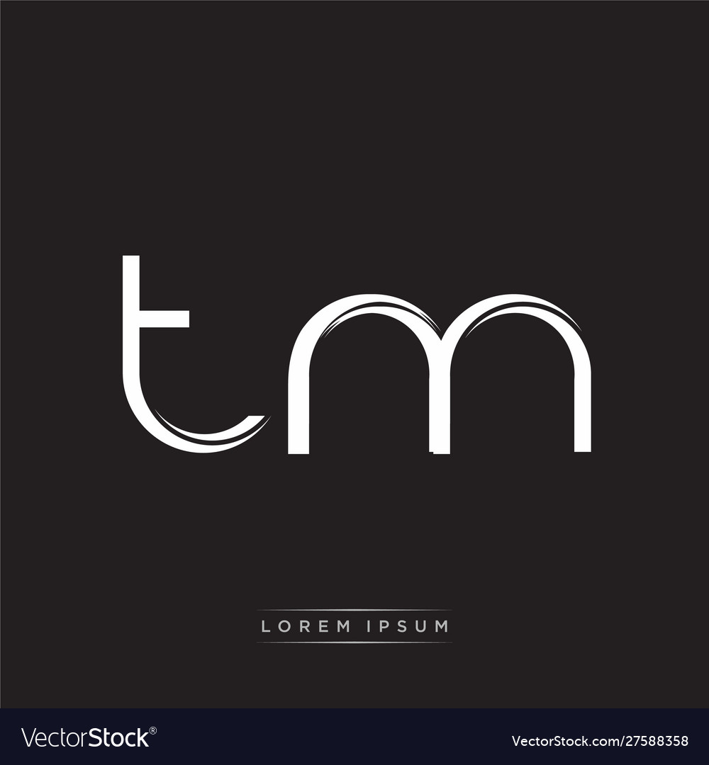 Tm initial letter split lowercase logo modern Vector Image