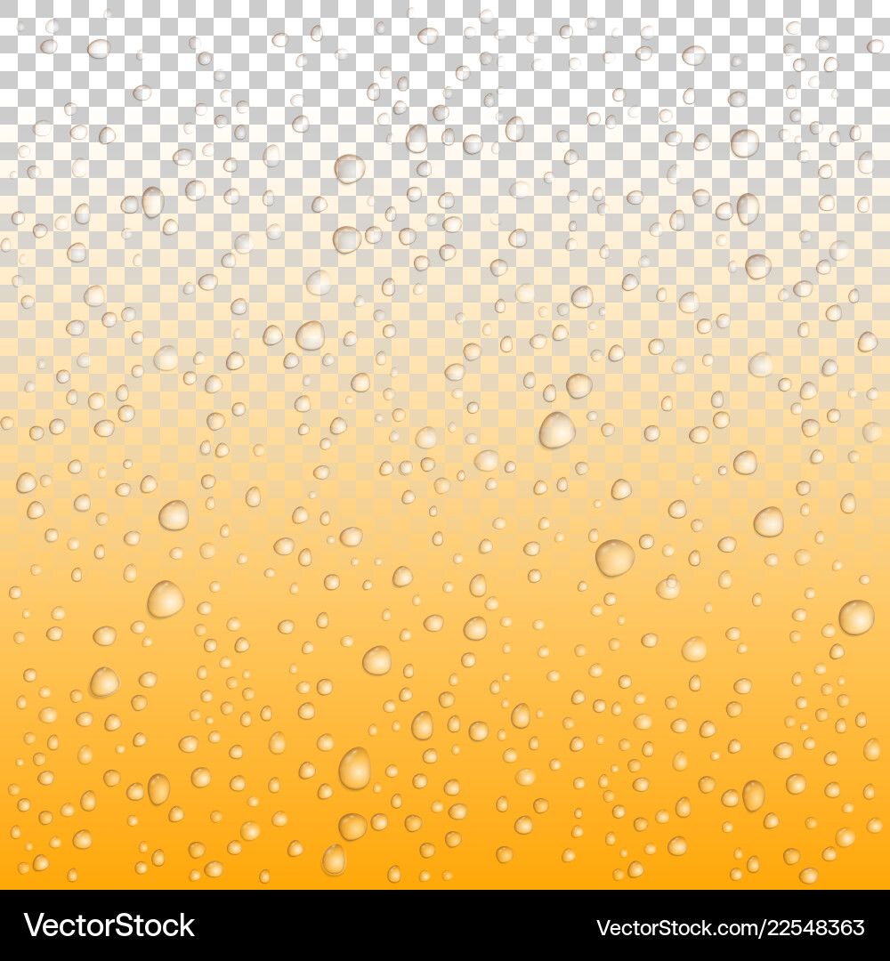 Beer drops on glass water rain Royalty Free Vector Image