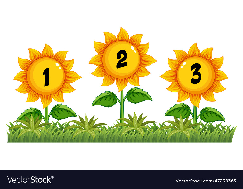 Counting number with sunflower theme Royalty Free Vector