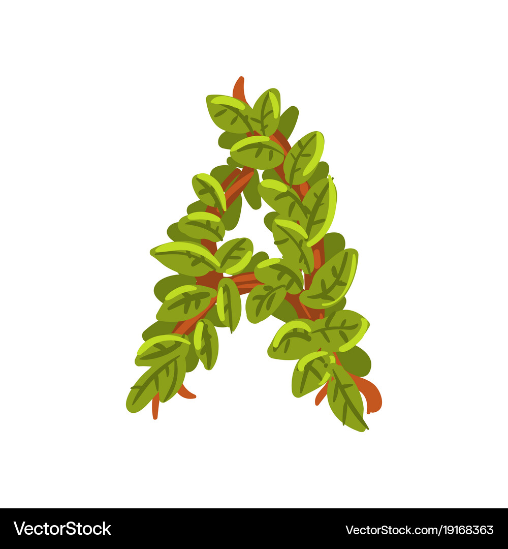 Letter a english alphabet made tree branches Vector Image
