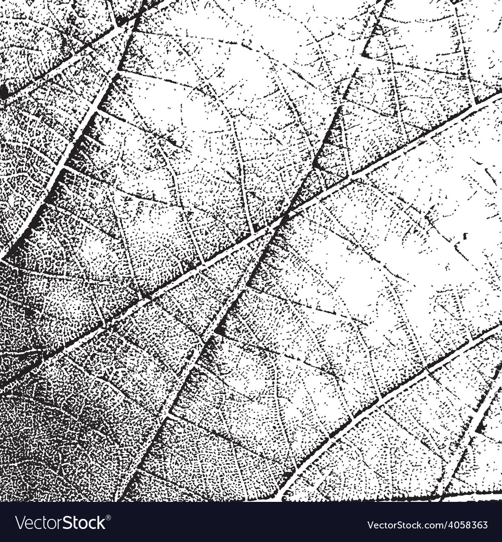 Overlay texture leaf Royalty Free Vector Image