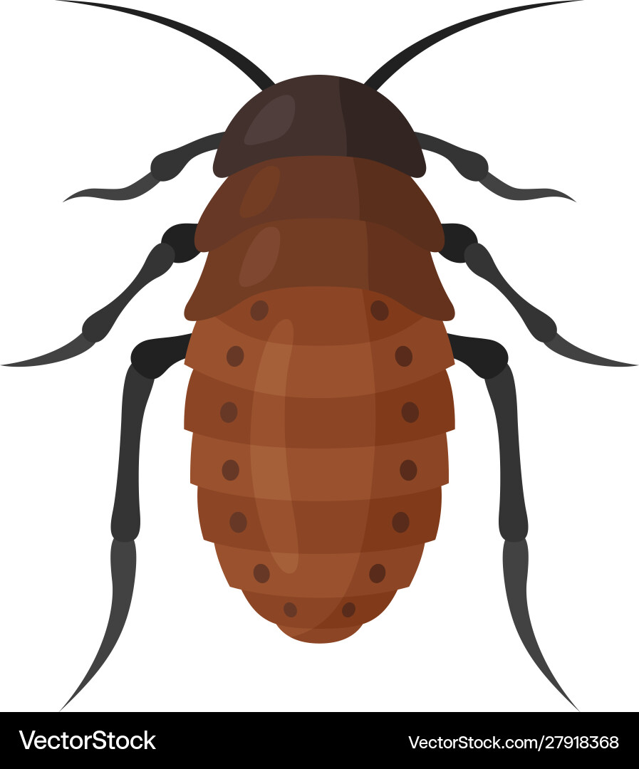 African cockroach icon wildlife bug and insect Vector Image
