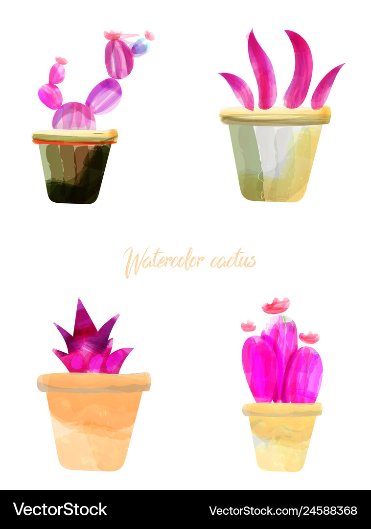 Cactus isolated on white background watercolor Vector Image