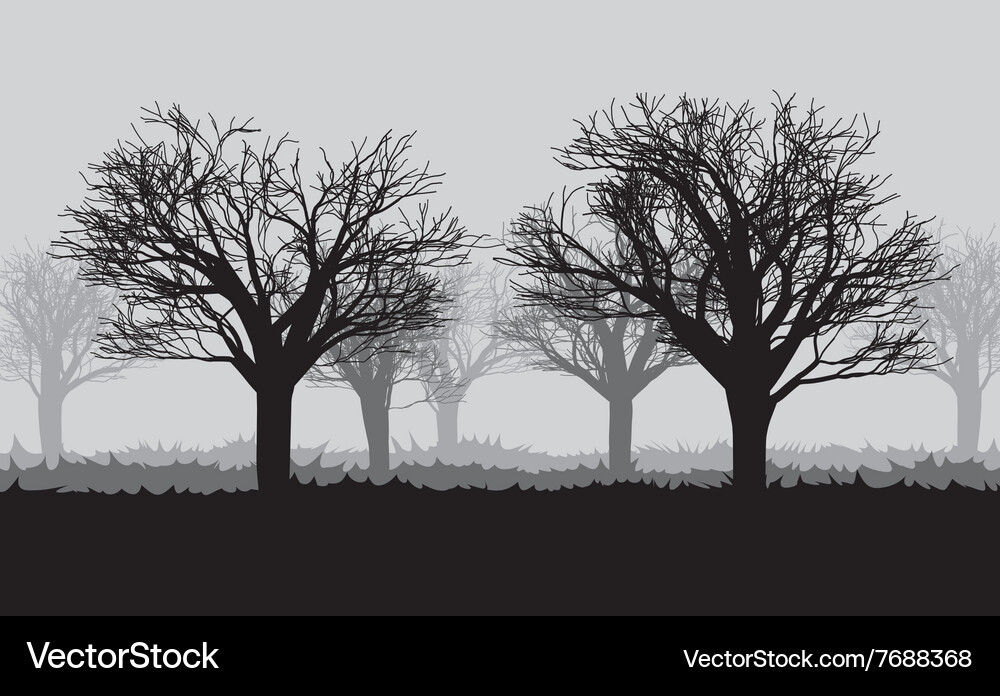 Forest in the dark mist trees silhouettes Vector Image