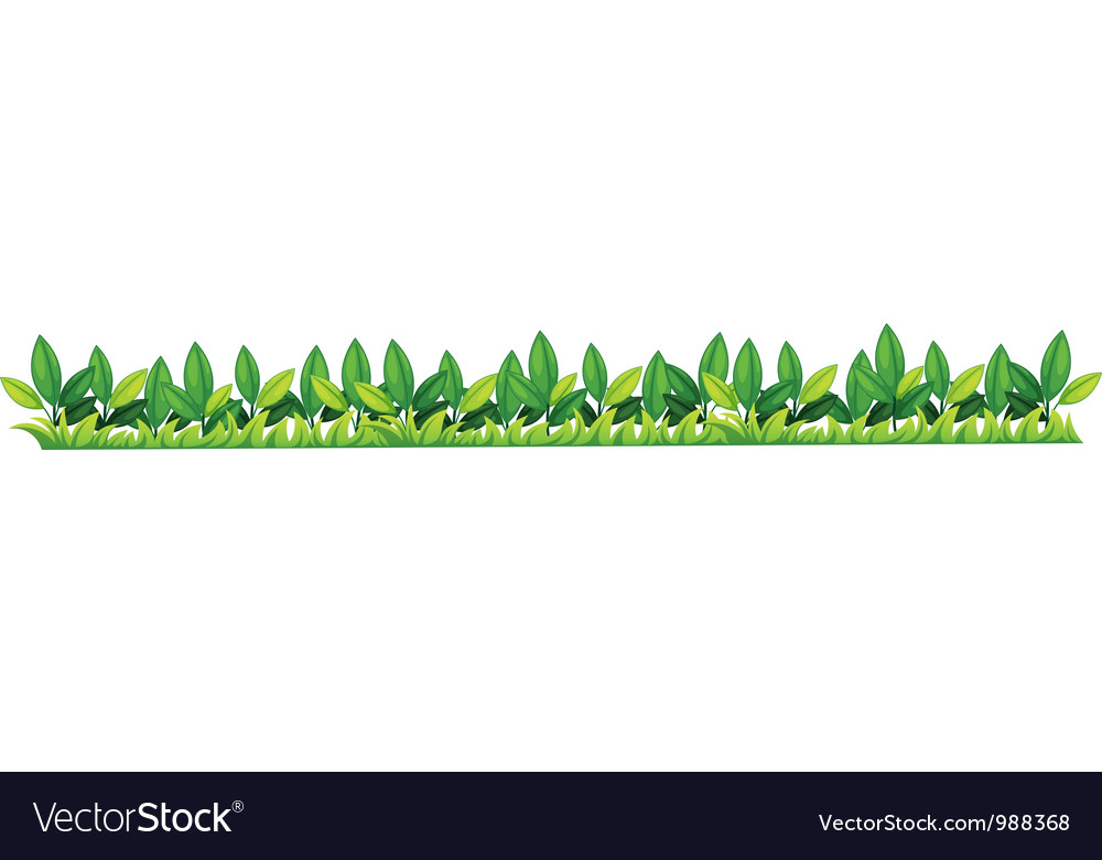 Grass bar border Royalty Free Vector Image - VectorStock