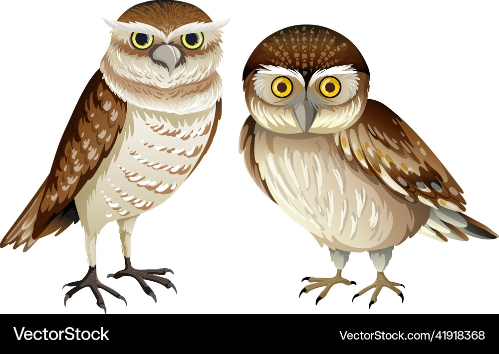 Owl standing in cartoon style Royalty Free Vector Image