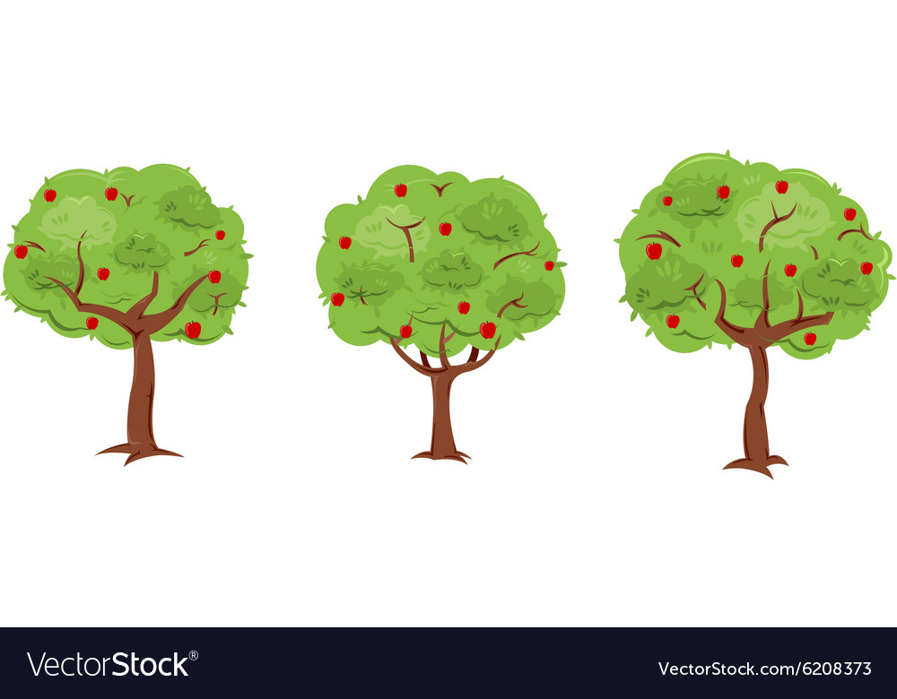 Apple Trees Royalty Free Vector Image - VectorStock