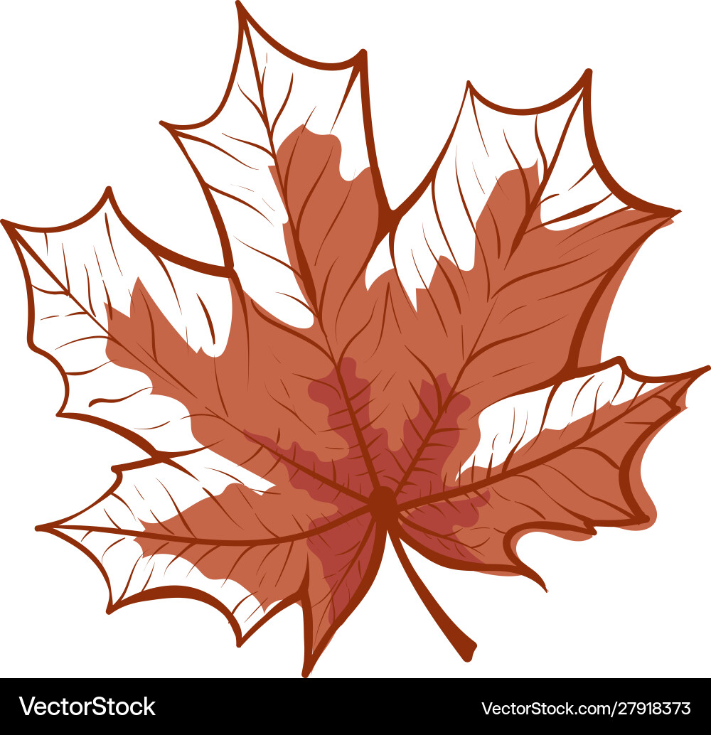 Autumn fall maple leaf bright seasonal decoration Vector Image