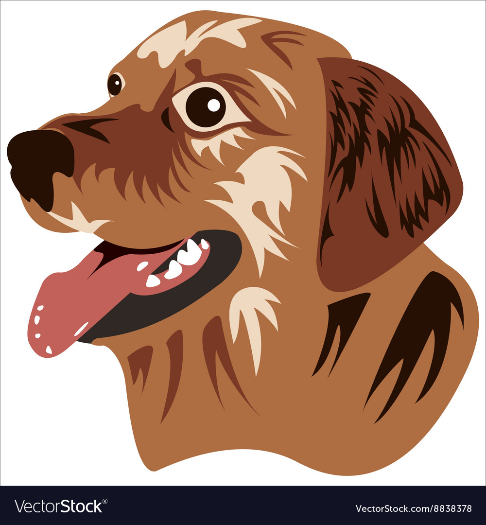 Muzzle dog Royalty Free Vector Image - VectorStock