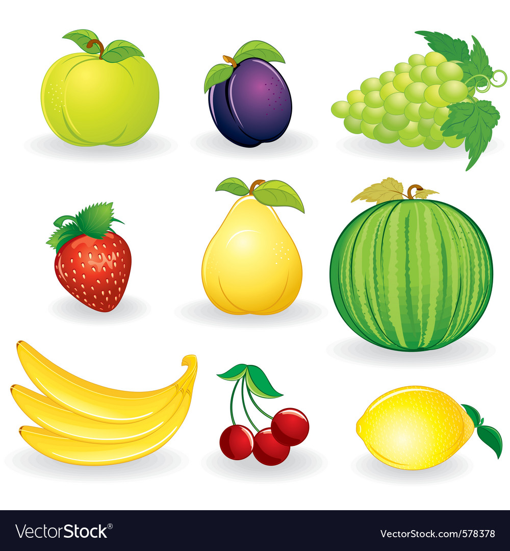 Ripe fruits set Royalty Free Vector Image - VectorStock