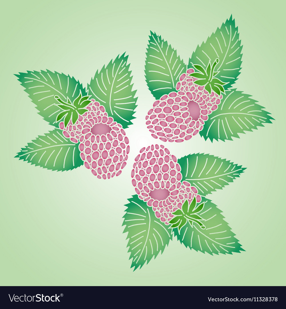 Three fresh raspberry Royalty Free Vector Image