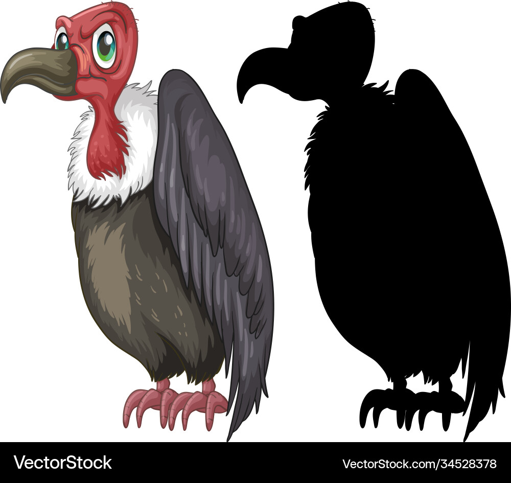 Vulture characters and its silhouette on white Vector Image