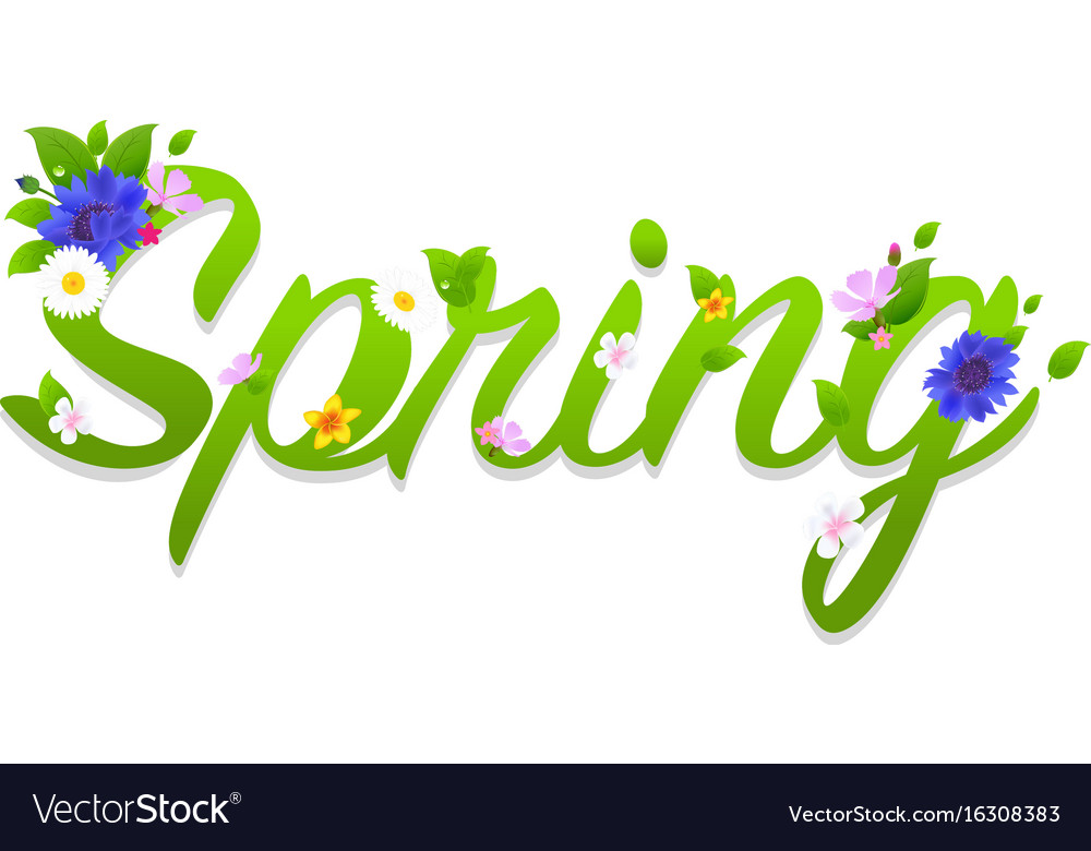 Spring text Royalty Free Vector Image - VectorStock