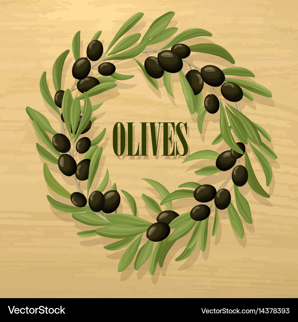 Cartoon natural black olive template Royalty Free Vector