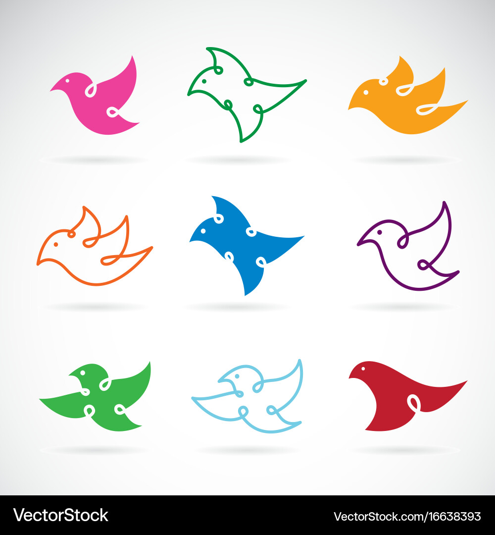 Group of bird design on white background Vector Image