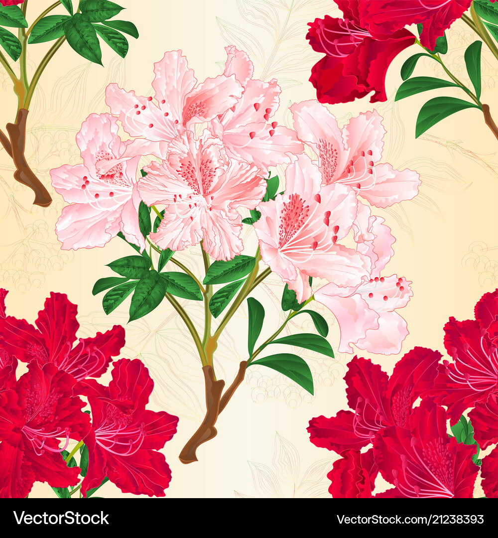 Seamless texture red and pink rhododendrons Vector Image