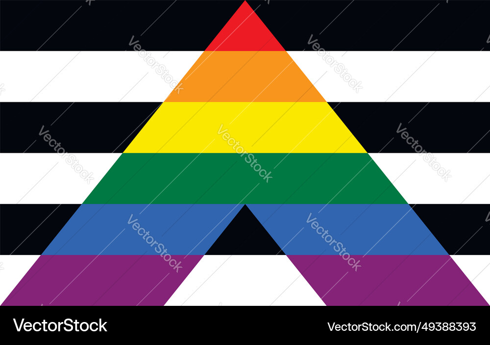 Straight ally pride flag sexual identity Vector Image