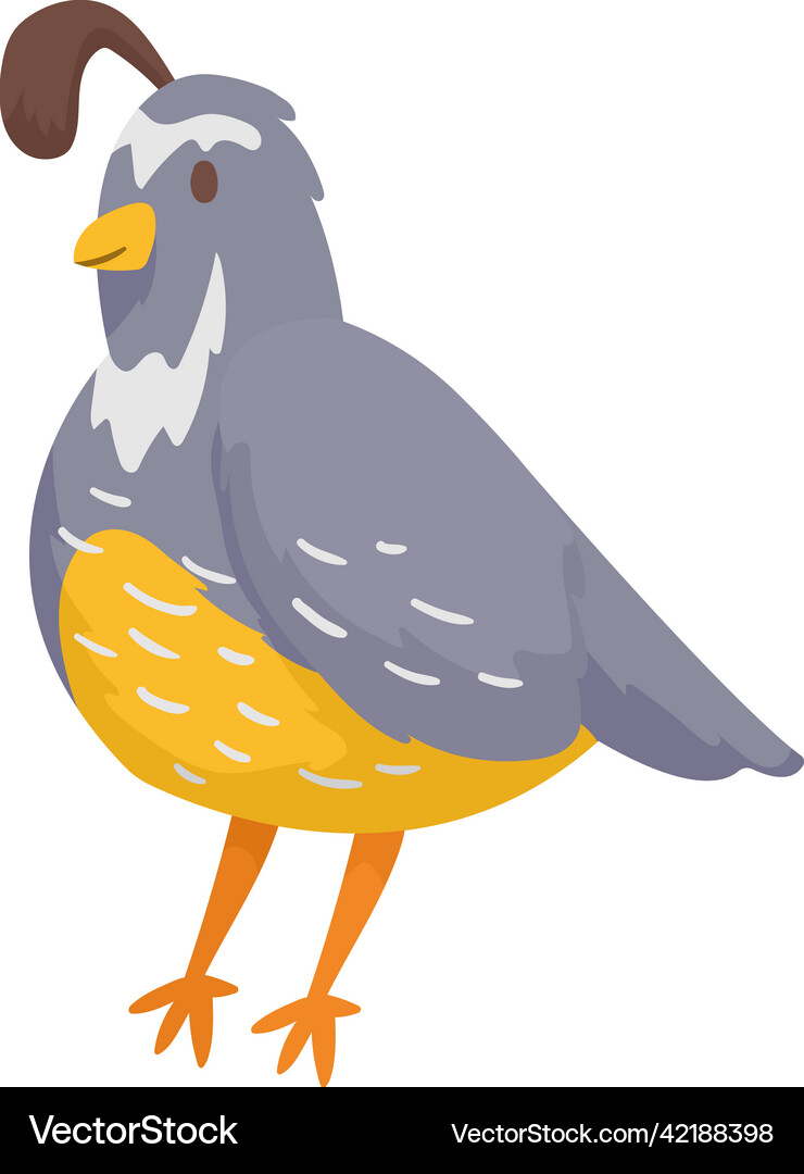 Cute quail animal kid Royalty Free Vector Image