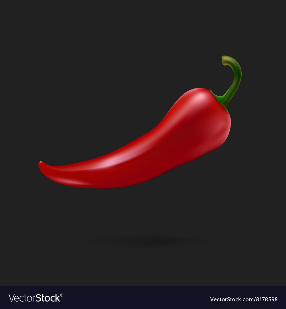 Red chilli pepper Royalty Free Vector Image - VectorStock