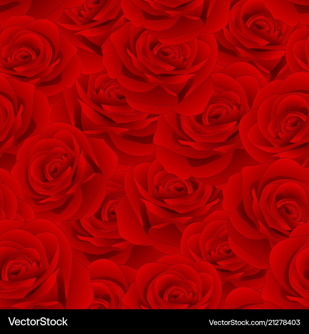 Beautiful red rose - rosa seamless background Vector Image