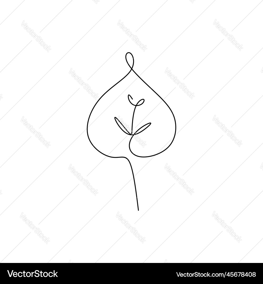 Drawing continuous lines of leaves with simple Vector Image