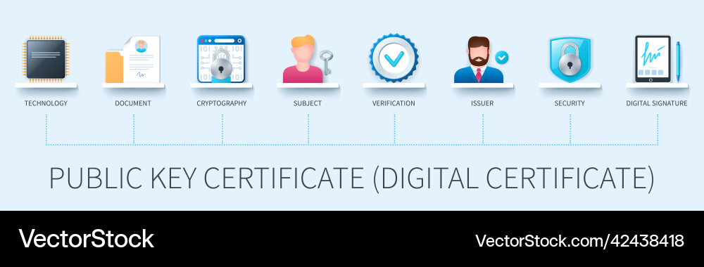 Public key certificate web infographics in 3d Vector Image
