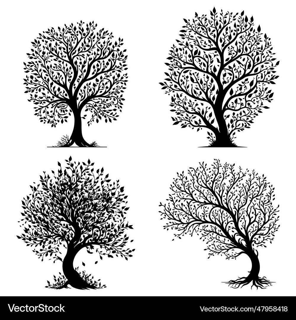 Spring flower trees silhouette beautiful flower Vector Image