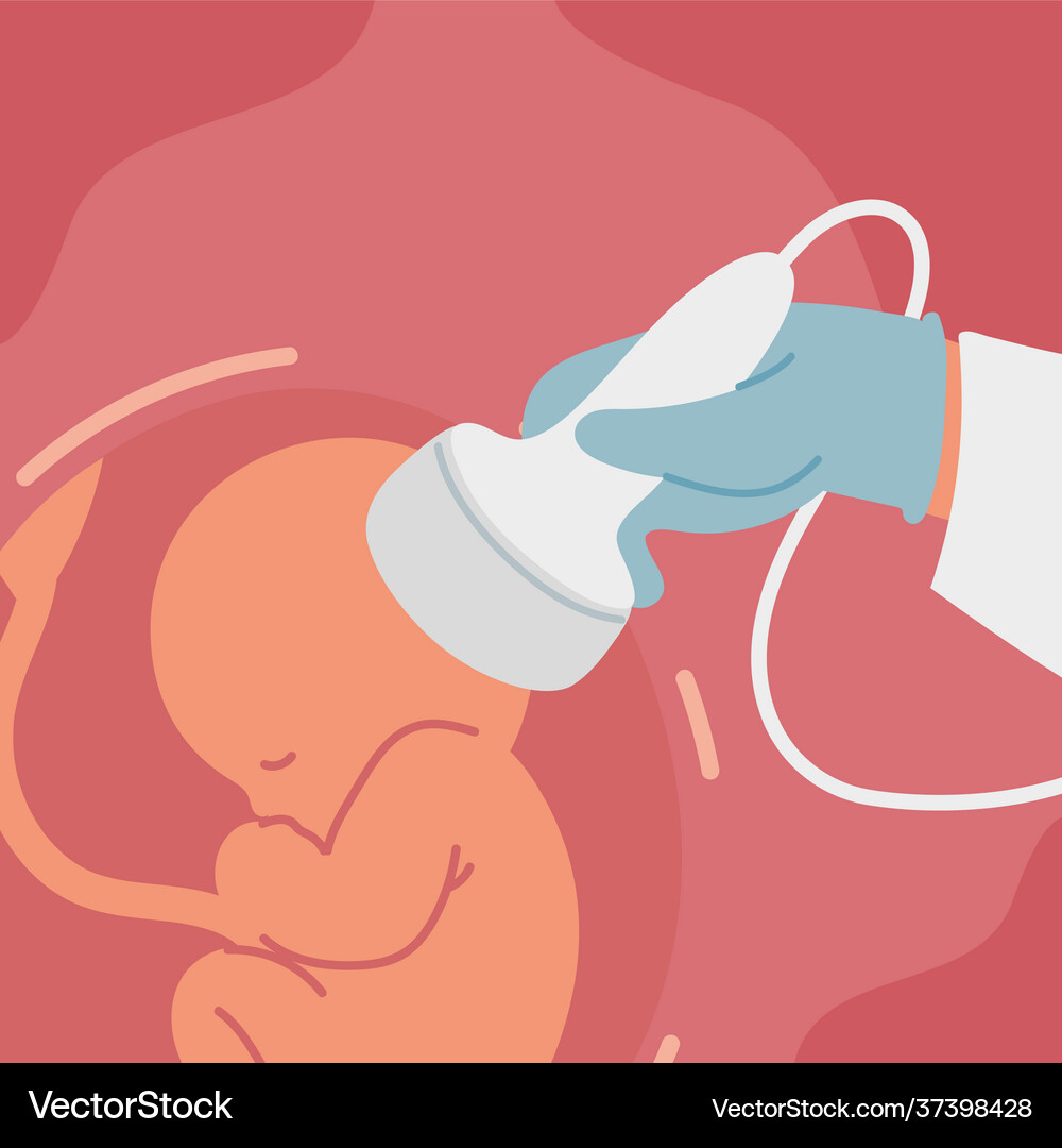 Scanning baby on womb Royalty Free Vector Image