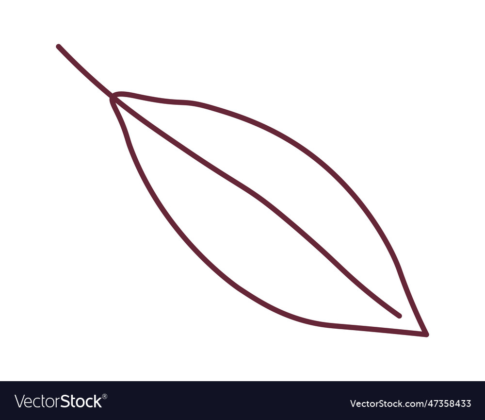 Leaf linear icon Royalty Free Vector Image - VectorStock