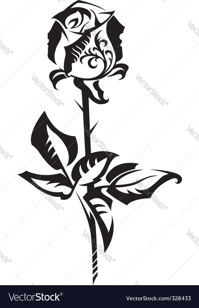 Rose Royalty Free Vector Image - VectorStock