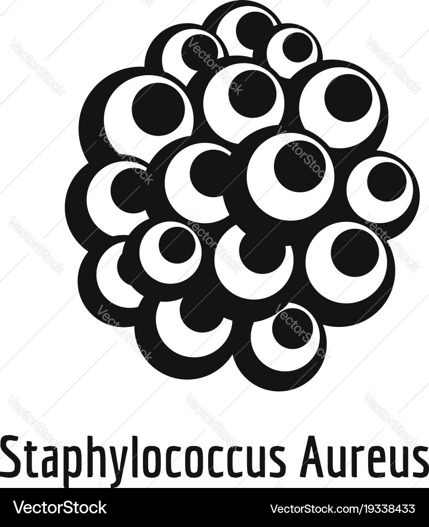 Staphylococcus aureus icon simple style Royalty Free Vector