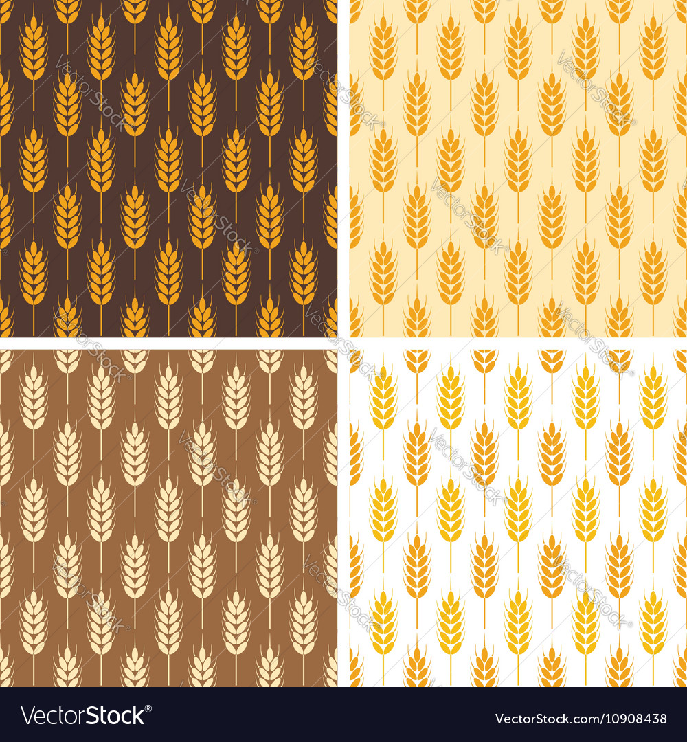 Wheat patterns Royalty Free Vector Image - VectorStock